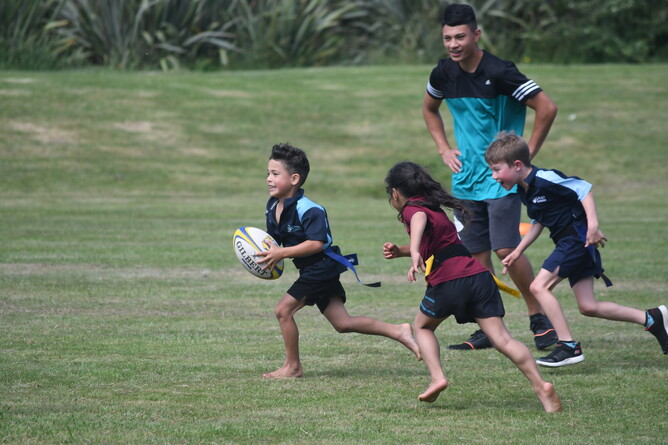 Bay of Plenty Rugby Union | TECT